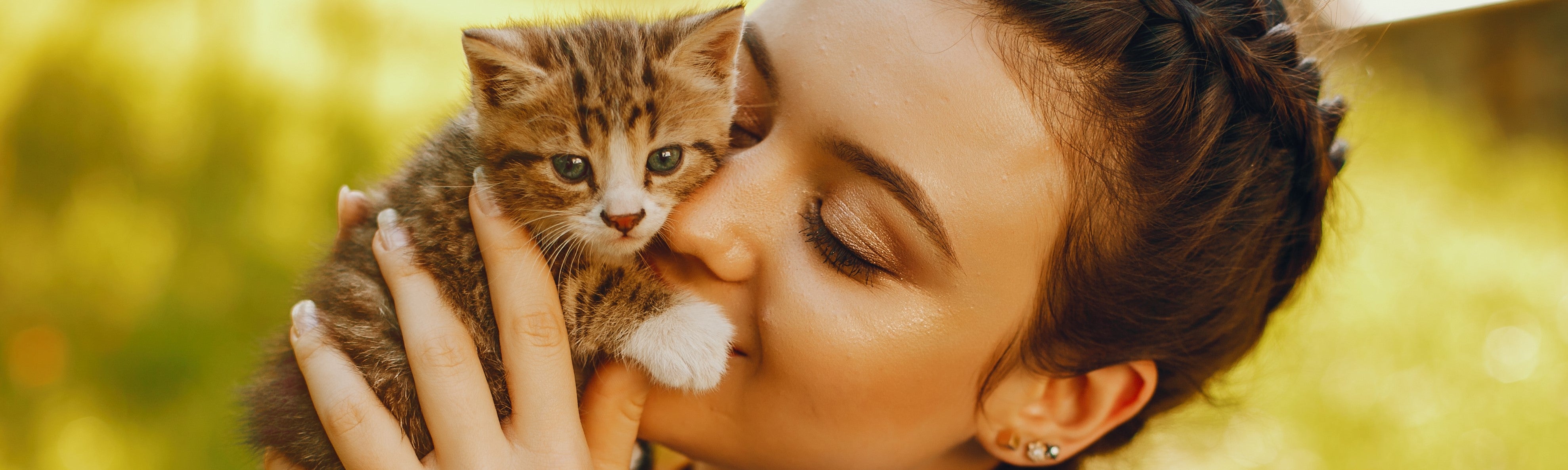 FOR HUMANS – Playful Meow